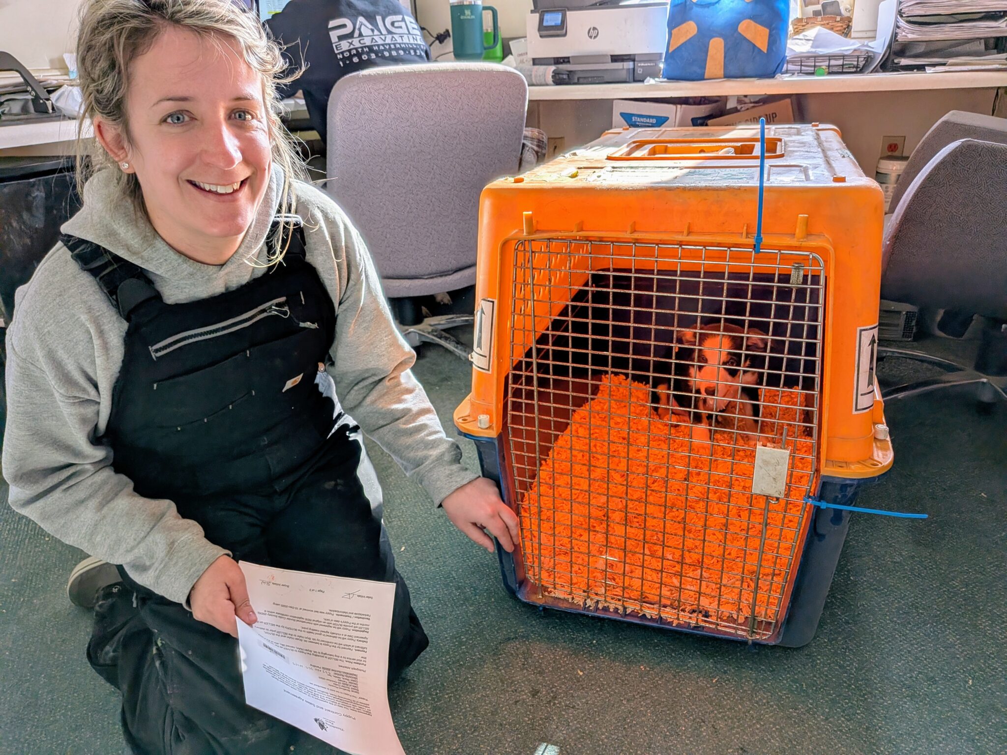 Phoenix Goes to an Angus Cattle Farm - Thundering Paws Farm